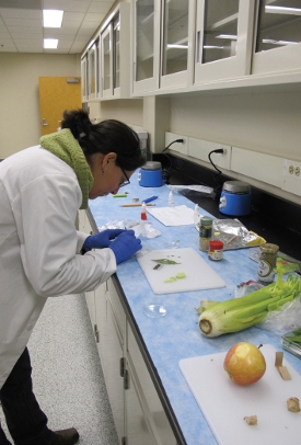 Food Safety Practices: Interview With International Food Safety ...