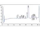 A High-Purity Water System for Pharmaceuticals Testing | American ...