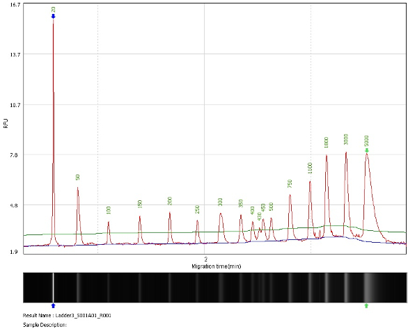A Portable Cge Based Biomolecule Detection System Using A Smartphone