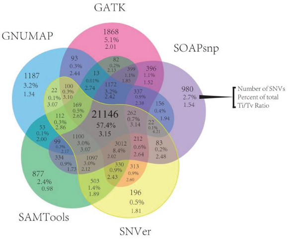 Reference Standards Address Technical Challenges in DNA Resequencing ...
