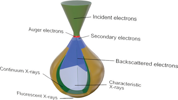 SEMs Provide Deep Insight Into Materials | American Laboratory