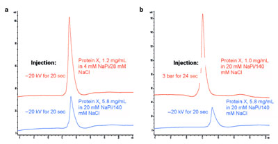 Capillary Electrophoresis–Sodium Dodecyl Sulfate of a Heavily ...