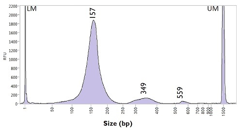 High-Throughput Capillary Electrophoresis: The Key to Streamlined ...