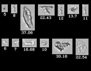 Detection of Subvisible Particulates in Bioformulations to Ensure ...