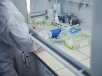 When Should I Change My BSC Filters? | American Laboratory