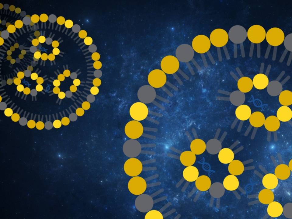 Polyplus Introduces LipidBrick® for LNP Formulation in mRNA ...